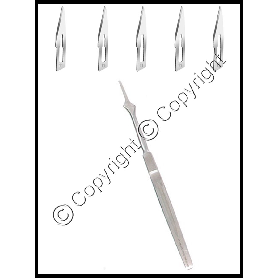 Surgical Steel Scalpel with Blades : Shroom Supply